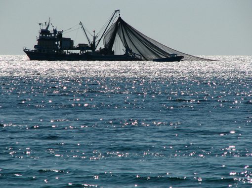 trawler-net - Sierra Specialised Products (Aust)-Lanomax